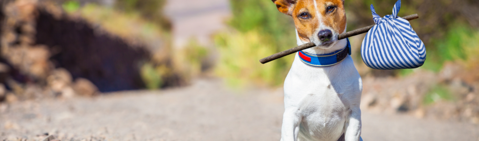 Contact Us - Pet Foodie LA